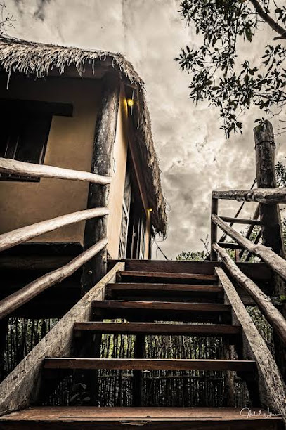 Hotel Manglex;Hoteles en Tulum, Quintana Roo, México;4,2;91;Kilómetro ...