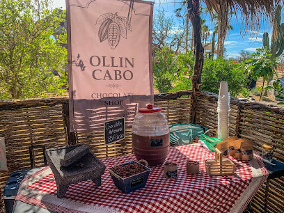 El Huerto Farm to Table | Restaurante orgánico en Cabo San Lucas, Baja ...