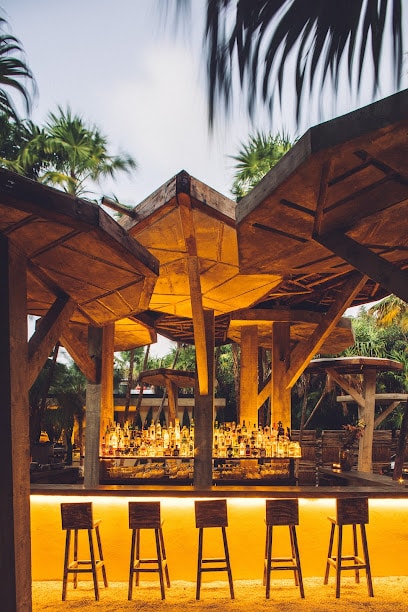 WILD Tulum | Restaurante en Houston, Quintana Roo, México